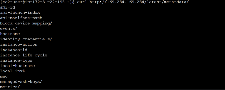 Getting Started with EC2 Metadata and User Data