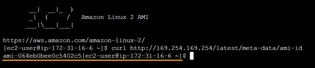 Getting Started with EC2 Metadata and User Data
