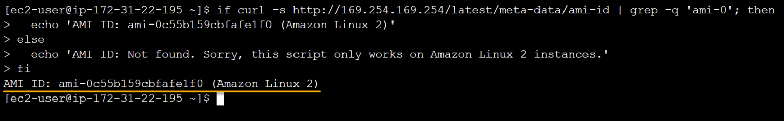 Getting Started with EC2 Metadata and User Data