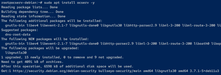 How to Set Up the OpenConnect VPN Server