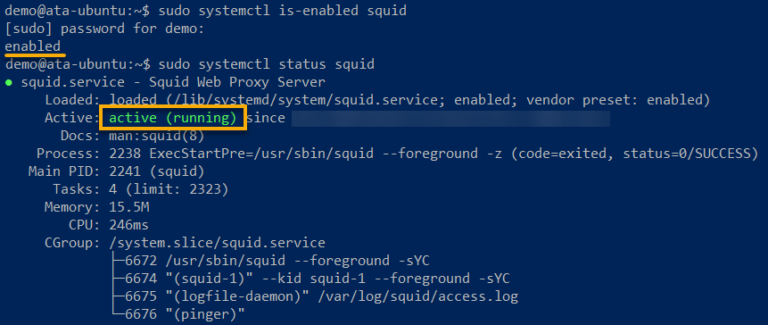 How to Set up Proxy Server with Squid Proxy