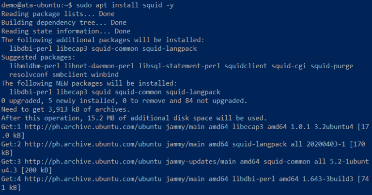 How To Set Up Proxy Server With Squid Proxy
