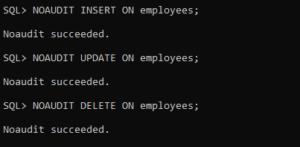 How To Use the Oracle Audit Operations Command