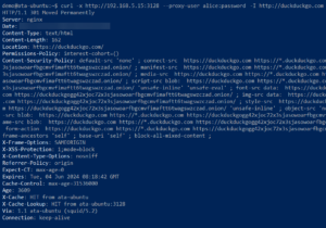 How to Set up Proxy Server with Squid Proxy
