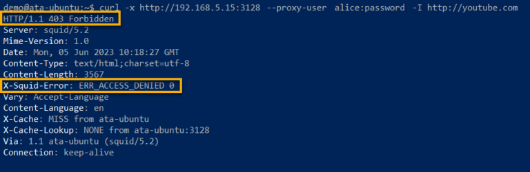 How to Set up Proxy Server with Squid Proxy