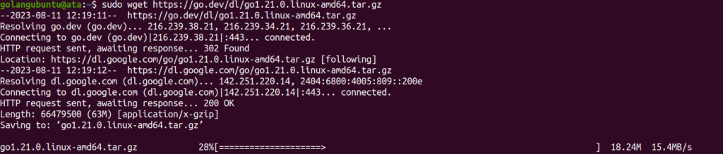 How to Install GO on Ubuntu Linux