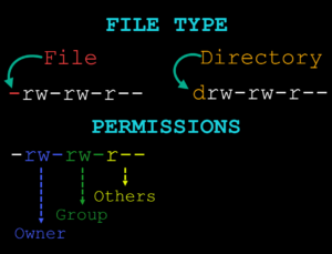 Master Linux Permissions: A Deep Dive into Chmod and Chown