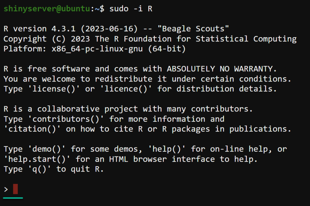 How To Install Shiny Server on Ubuntu