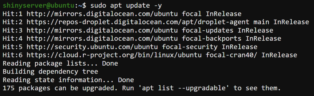 How To Install Shiny Server on Ubuntu