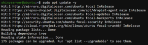 How To Install Shiny Server on Ubuntu