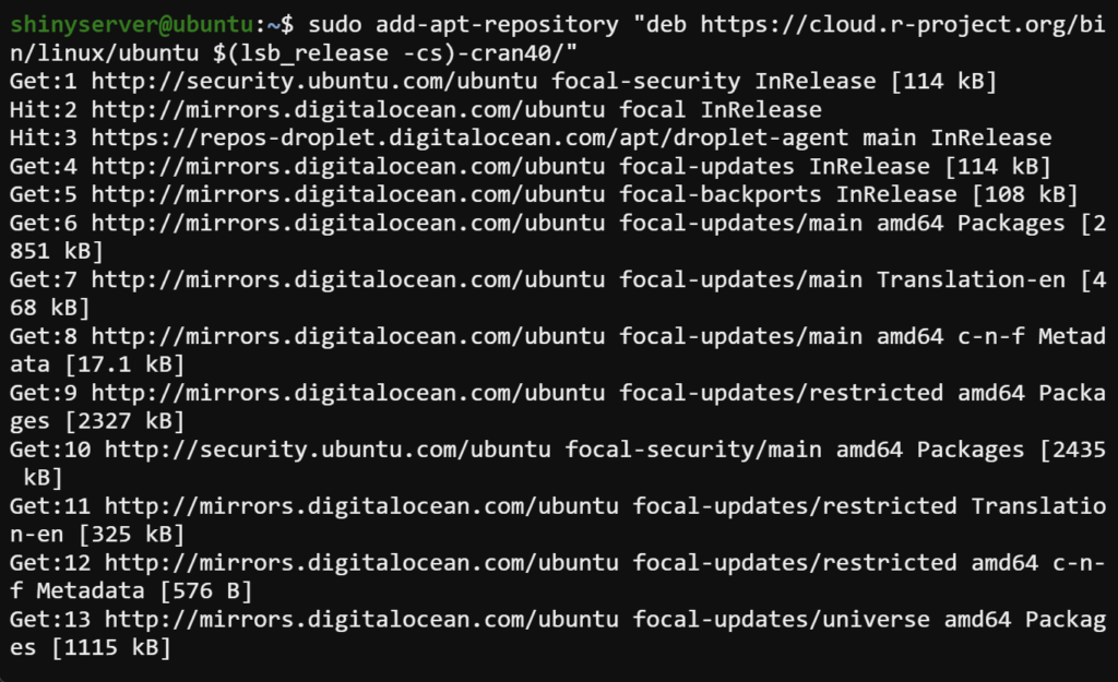 How To Install Shiny Server on Ubuntu