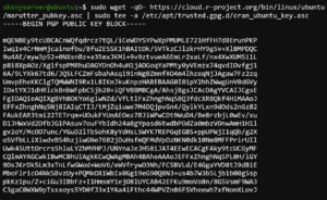 How To Install Shiny Server on Ubuntu