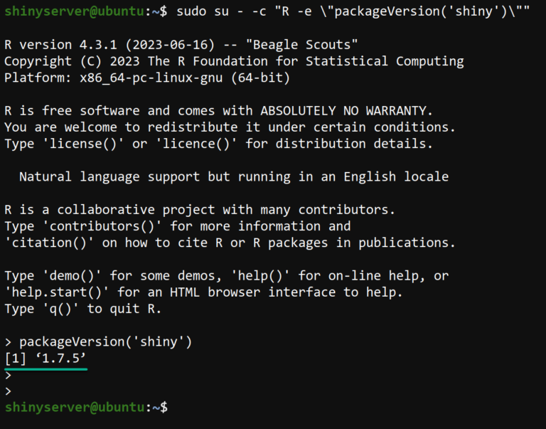 How To Install Shiny Server on Ubuntu