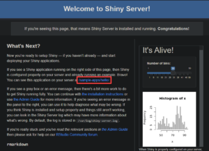 How To Install Shiny Server on Ubuntu