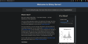How To Install Shiny Server on Ubuntu