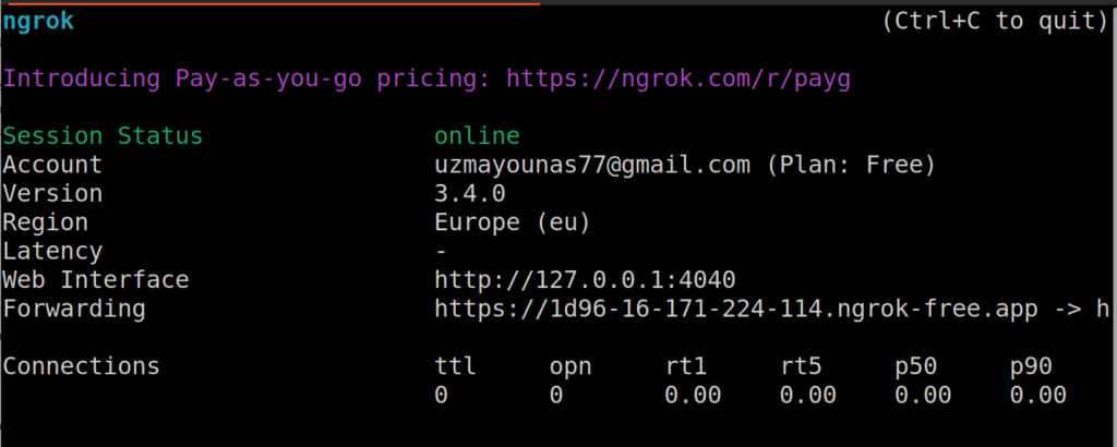 Hosting an Ngrok Remote Web App on AWS