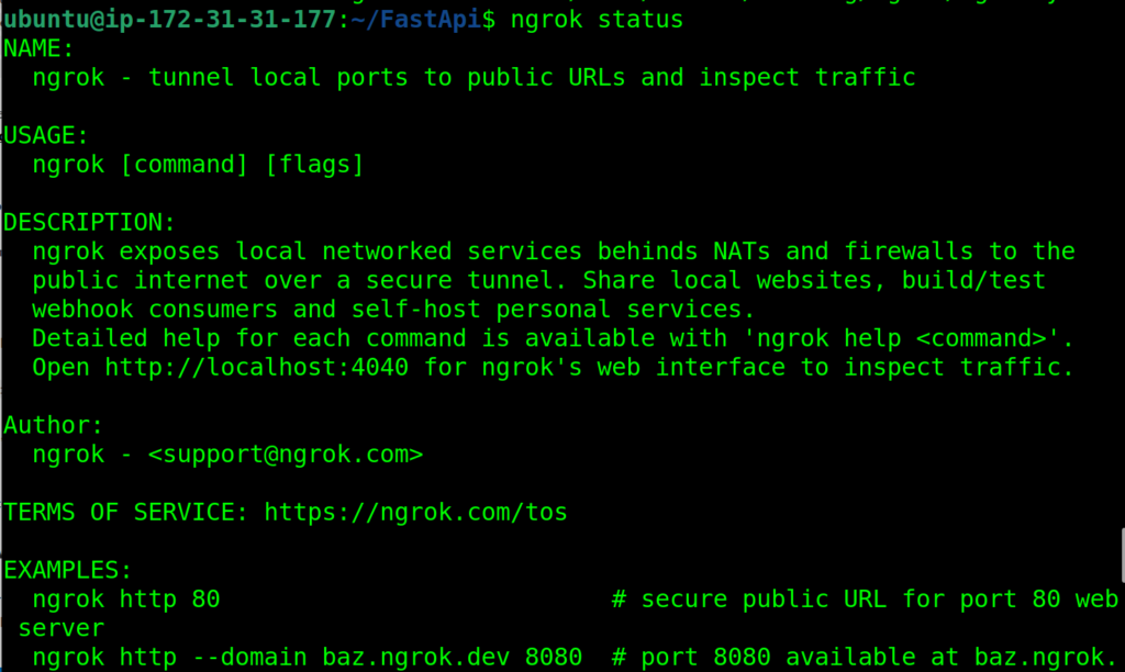 Hosting an Ngrok Remote Web App on AWS