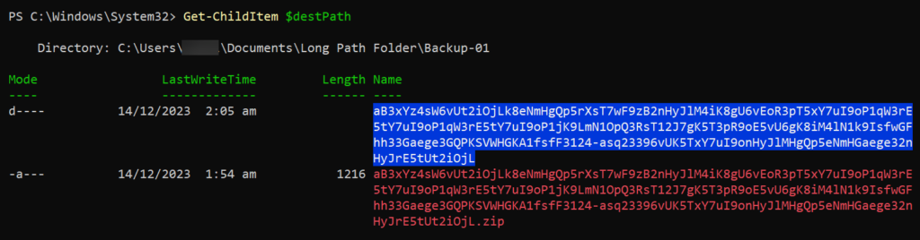 Addressing the Windows Error: Destination Path Too Long