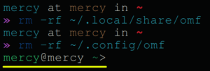 A Better Linux Experience with the Fish Shell