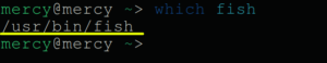 A Better Linux Experience with the Fish Shell